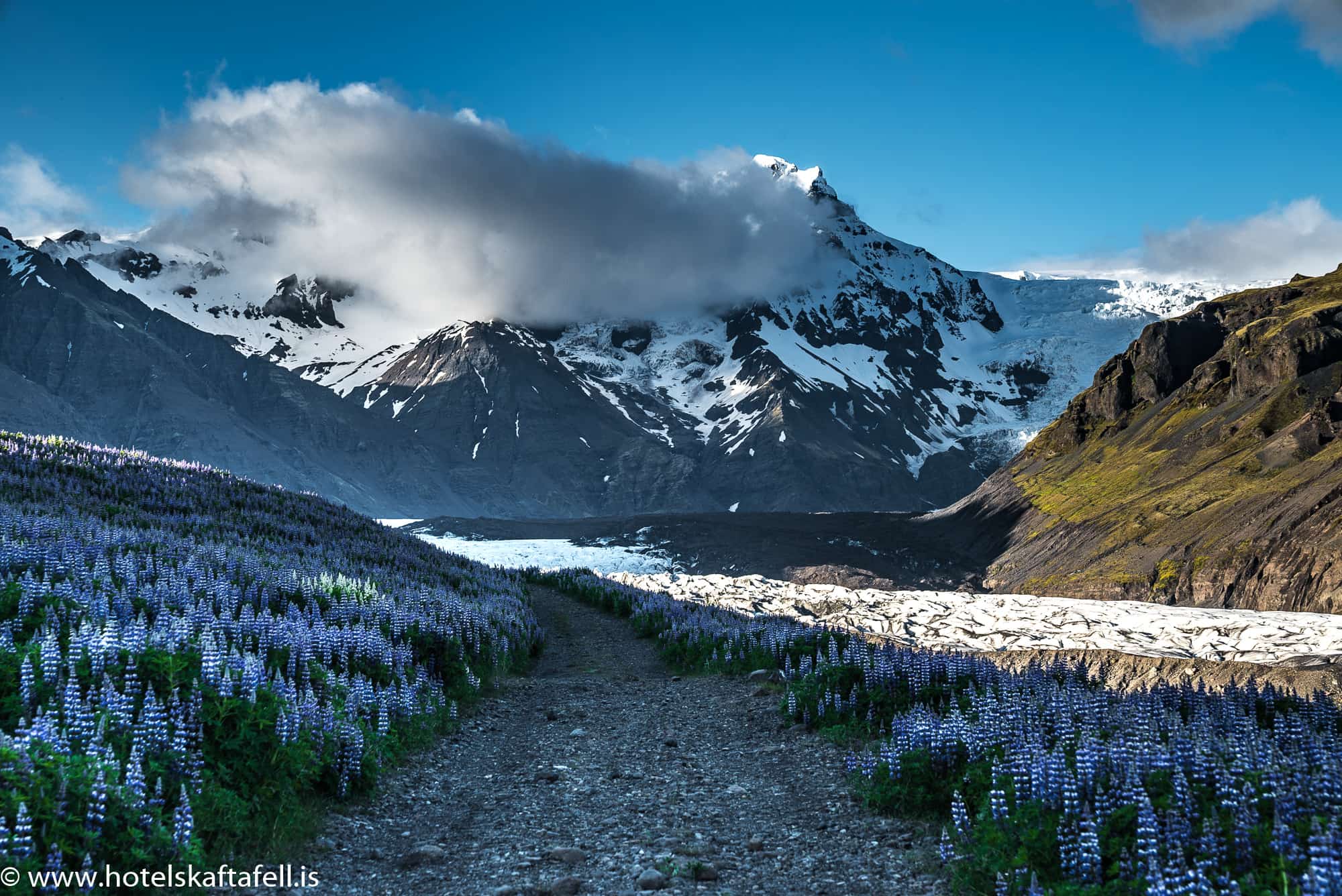 Hotel Skaftafell Gallery